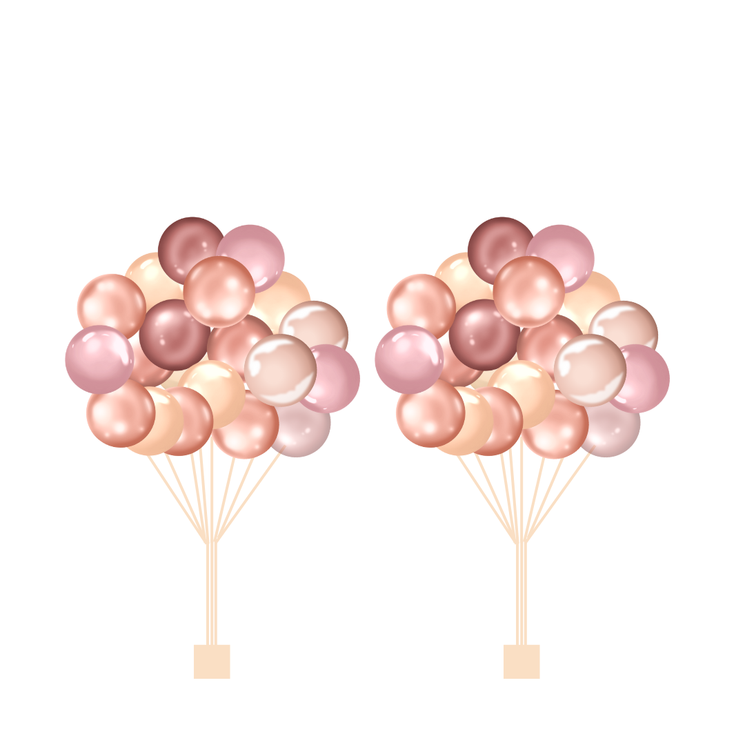 Rose Gold - BalloonZilla